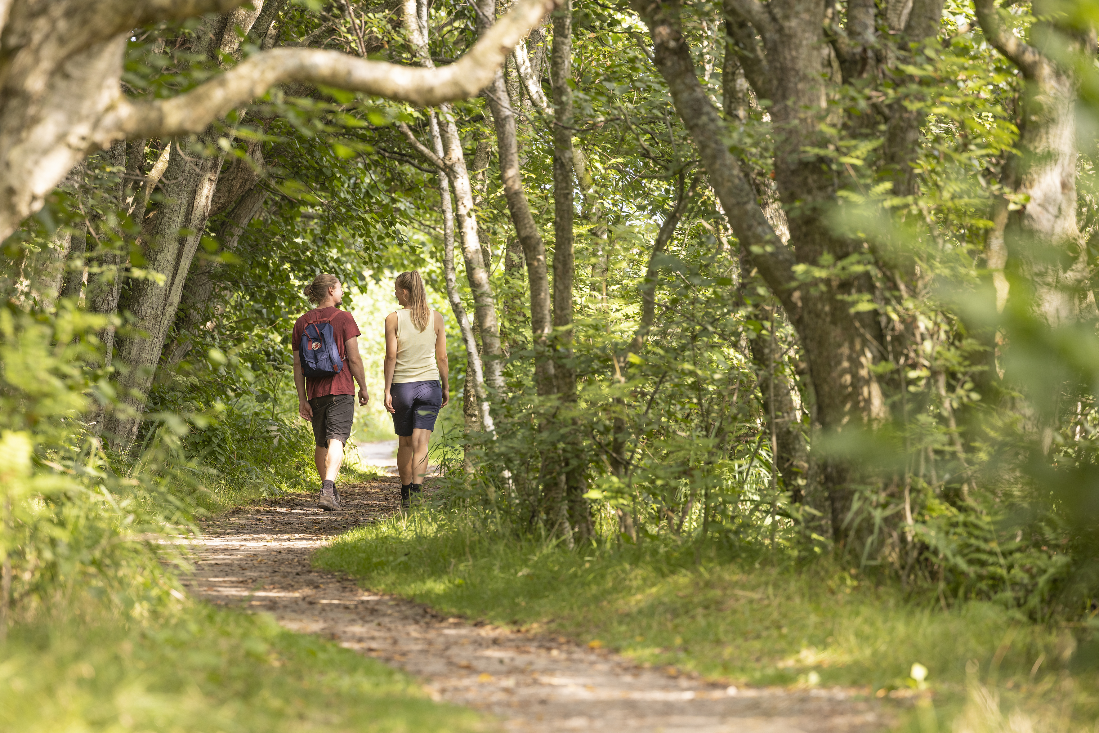 48 Stunden in der atemberaubenden Natur von Læsø | Enjoy Nordjylland